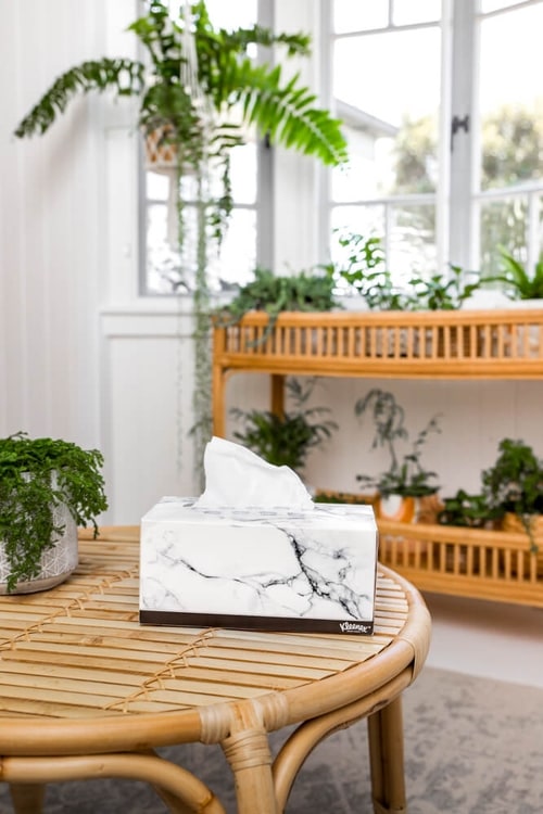 Case Studies | Creatively Squared